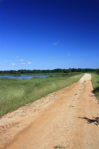 Locations Hub - Blandfield Plantation