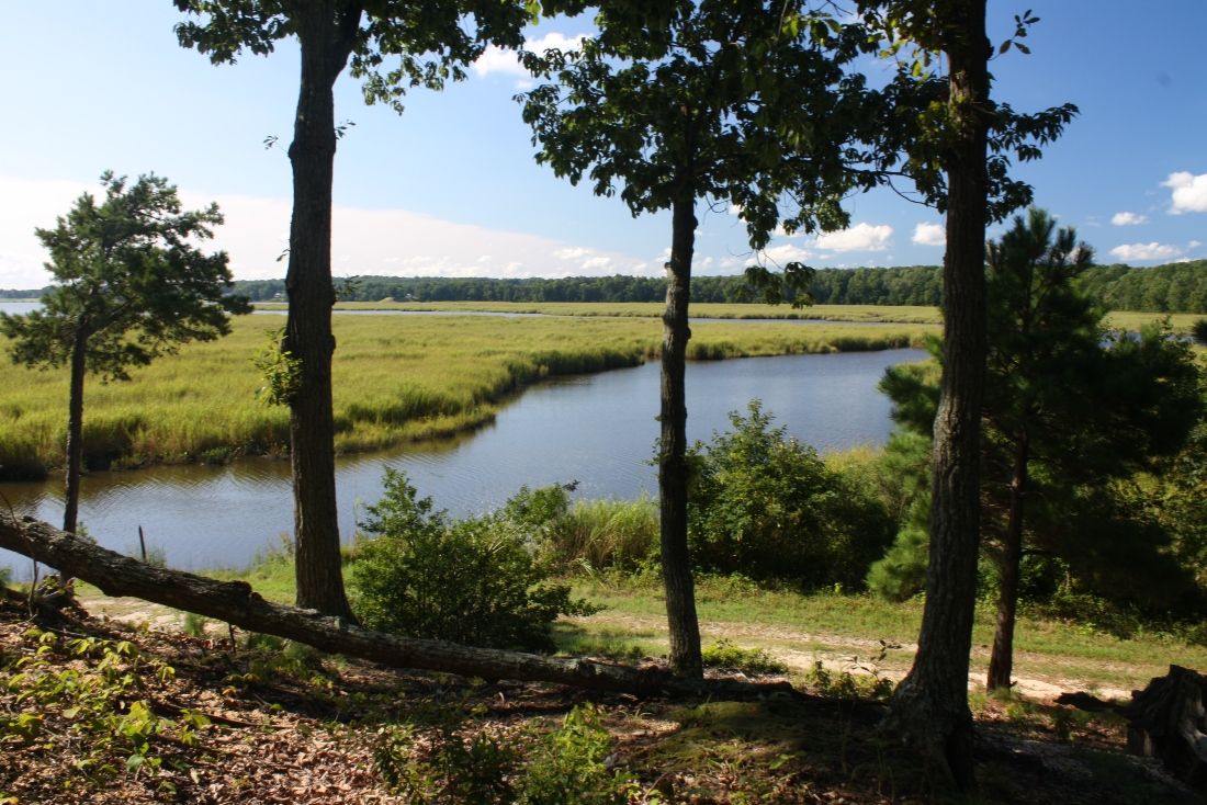 Locations Hub - Blandfield Plantation