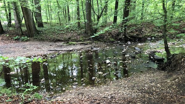 Locations Hub - Daniels Run Park