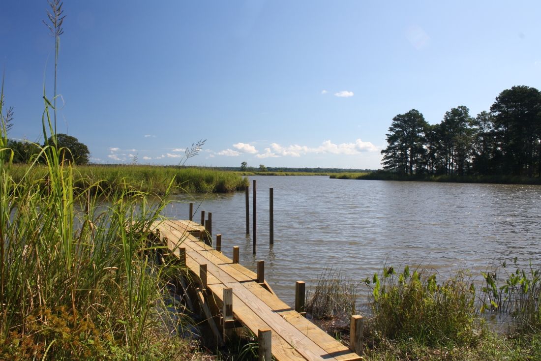 Locations Hub - Blandfield Plantation