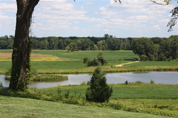 Locations Hub - Blandfield Plantation