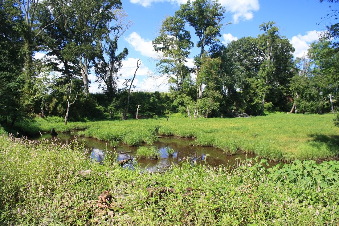 Locations Hub - Blandfield Plantation