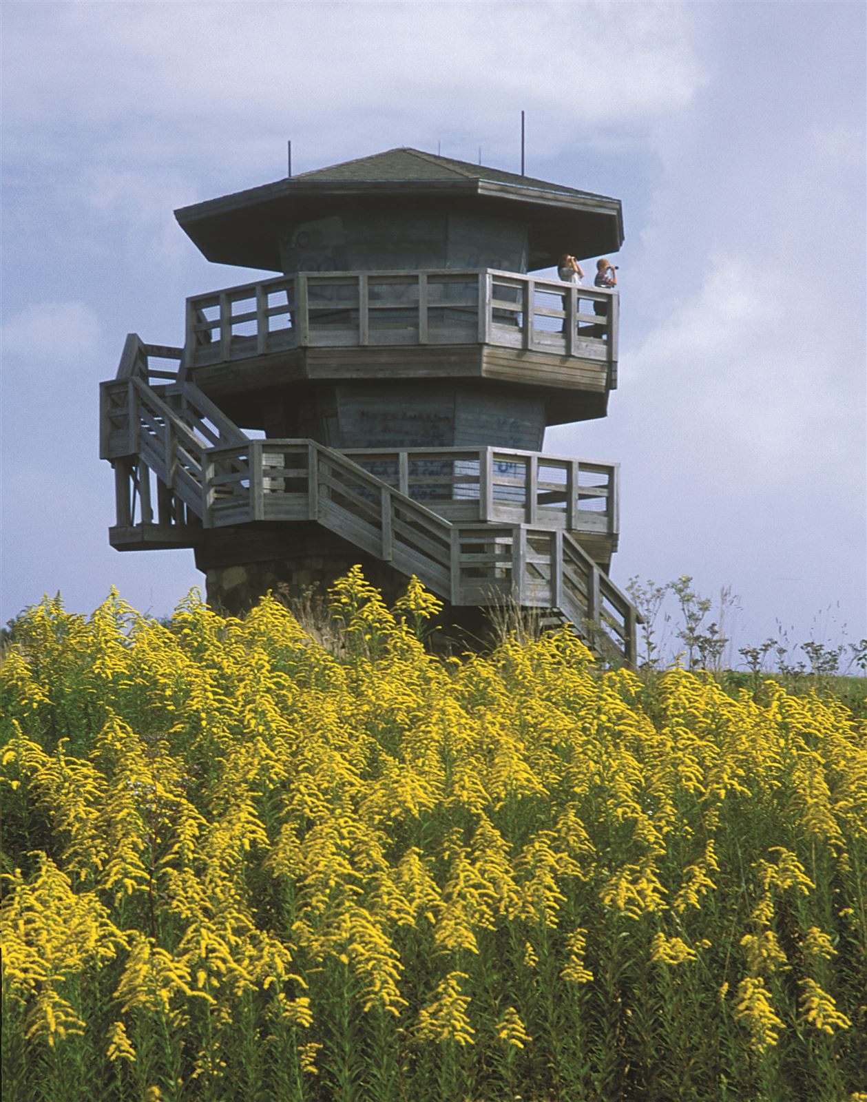Locations Hub - High Knob Observation Tower