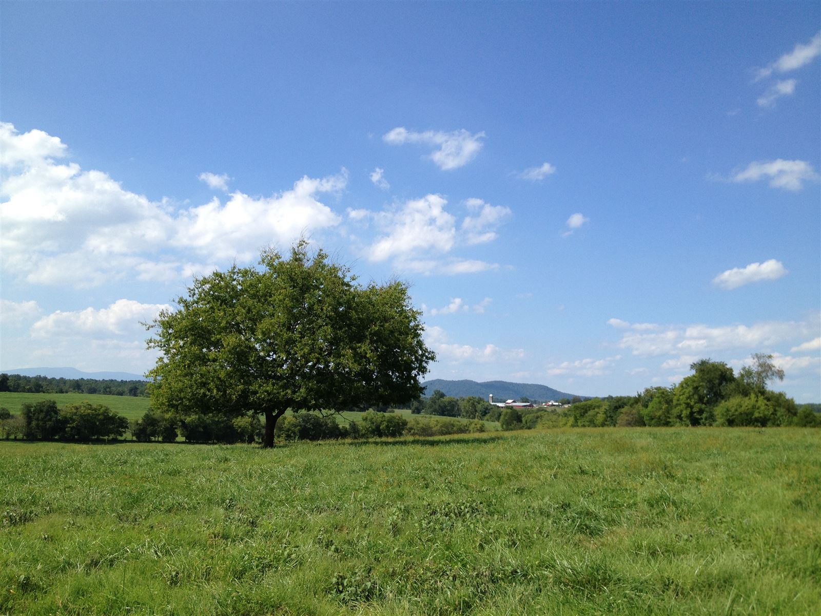 Locations Hub - Locust Hill Farm