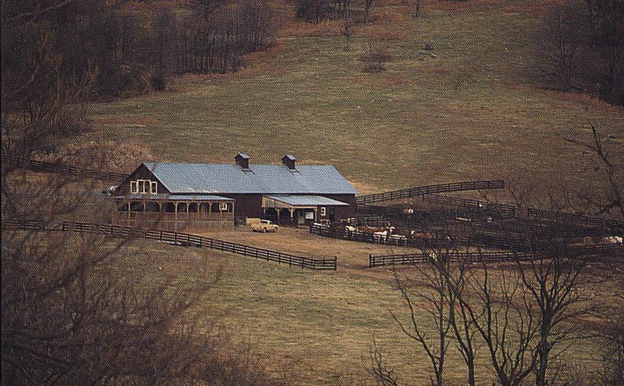 Locations Hub - Marriott Ranch