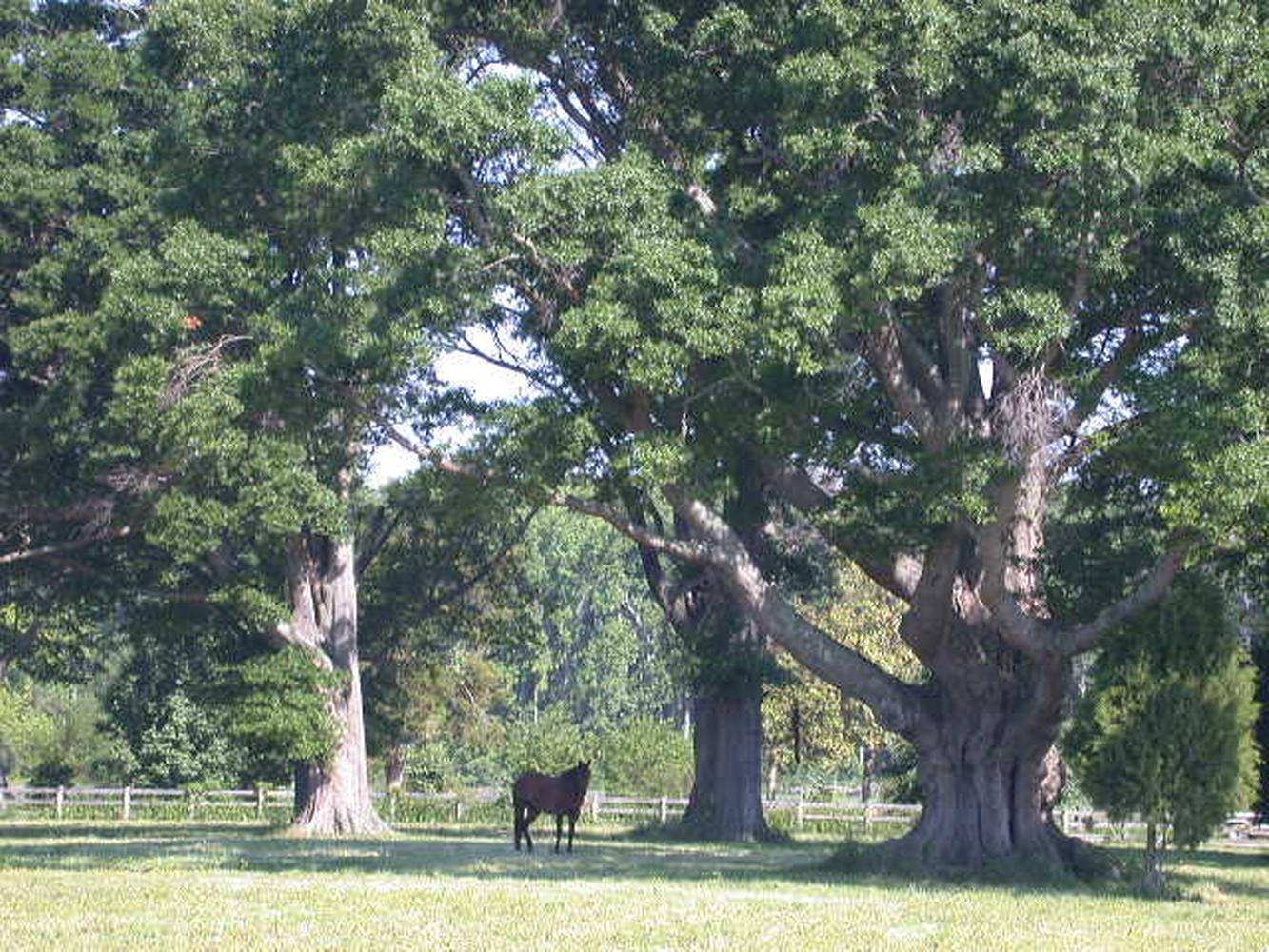 Locations Hub - Flowerdew Hundred