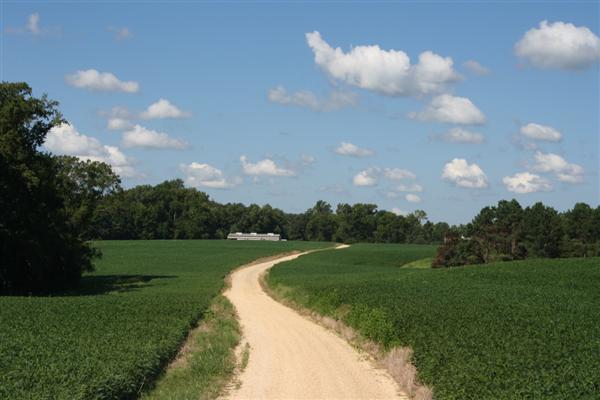 Locations Hub - Blandfield Plantation