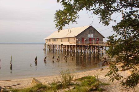 Locations Hub - Coles Point Tavern