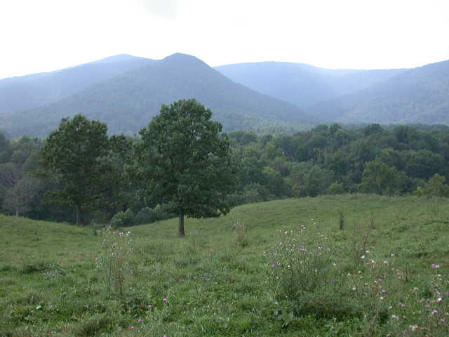 Locations Hub - Yale Farm