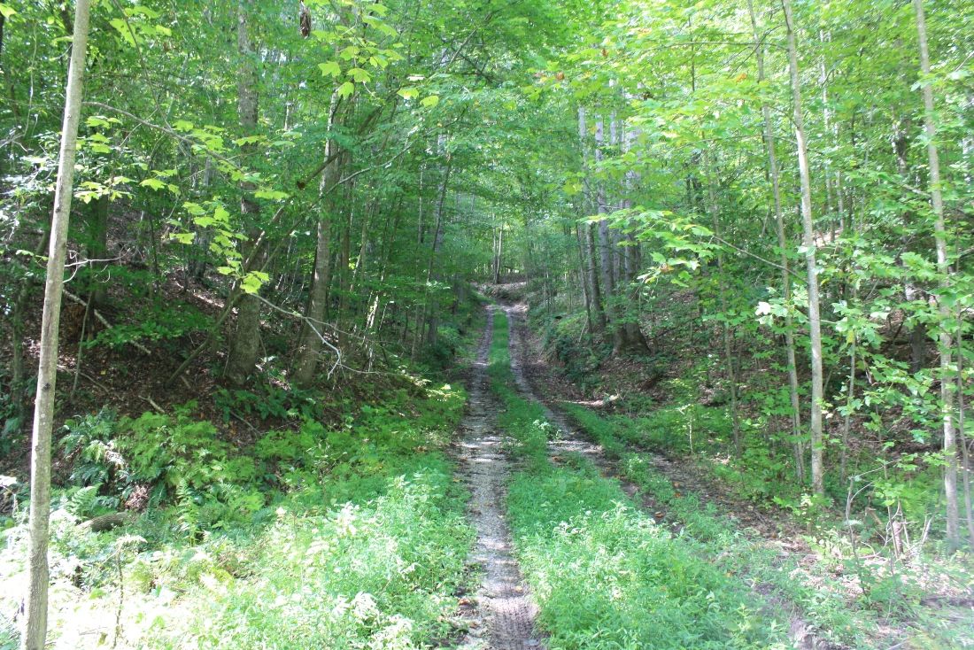 Locations Hub - Blandfield Plantation