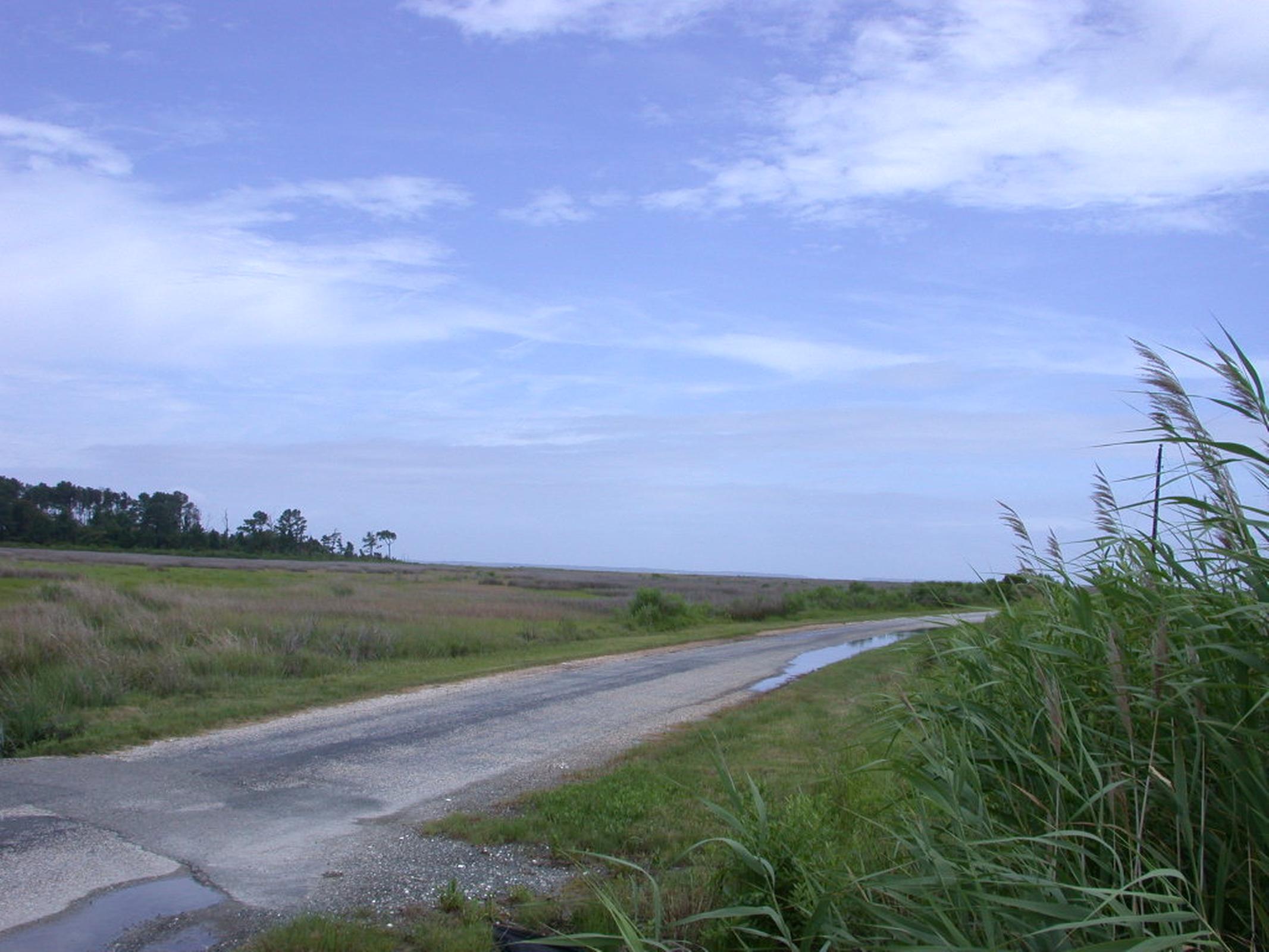 Locations Hub - Village of Guinea Neck