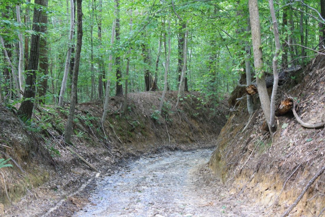 Locations Hub - Blandfield Plantation