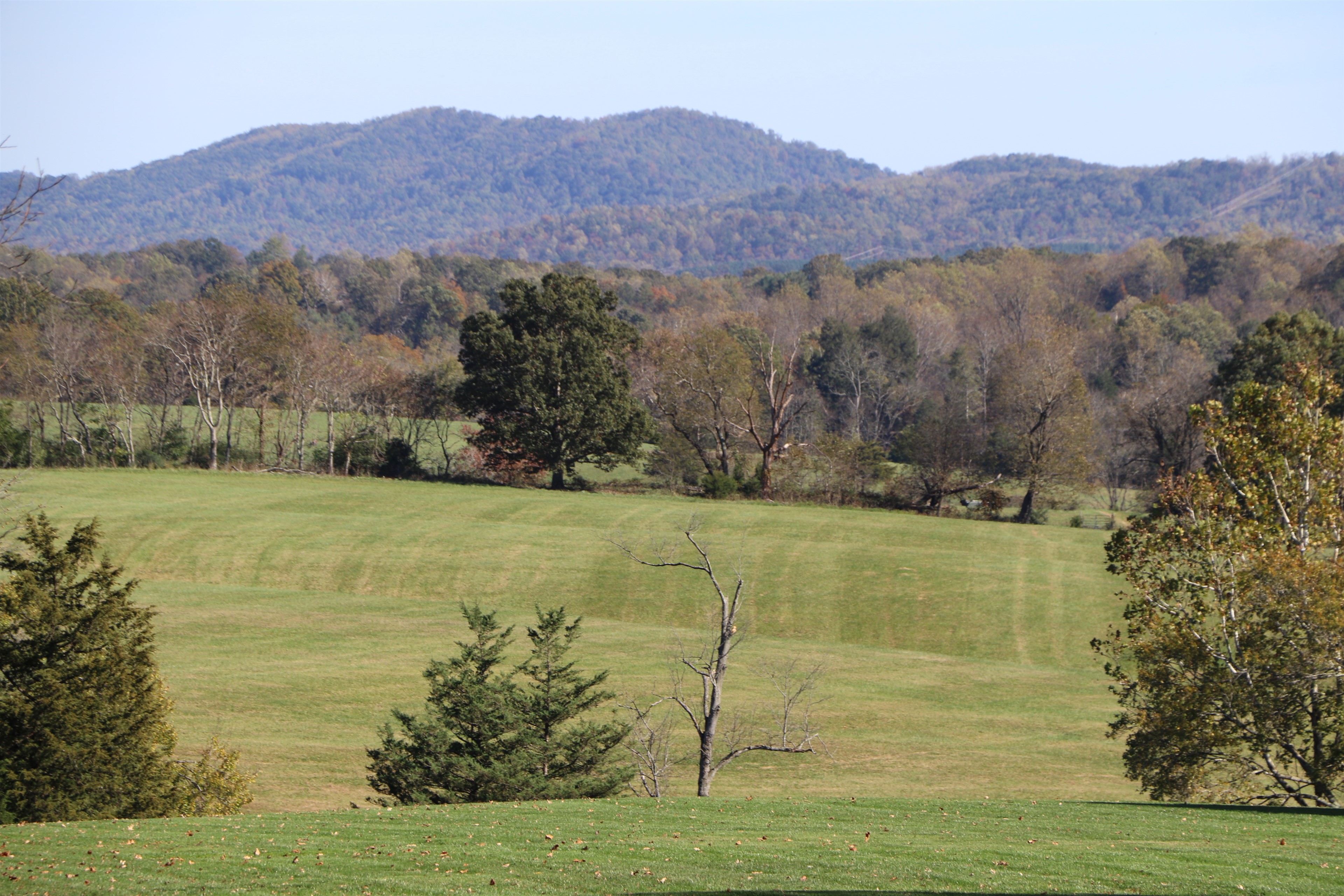 Locations Hub - Blue Ridge Farm