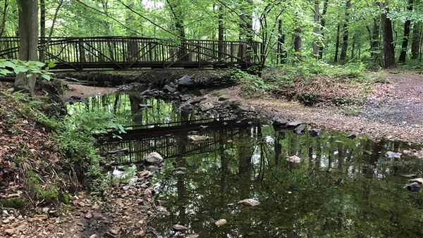 Locations Hub - Daniels Run Park