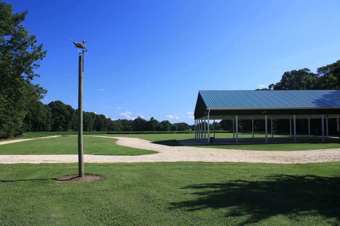 Locations Hub - Blandfield Plantation