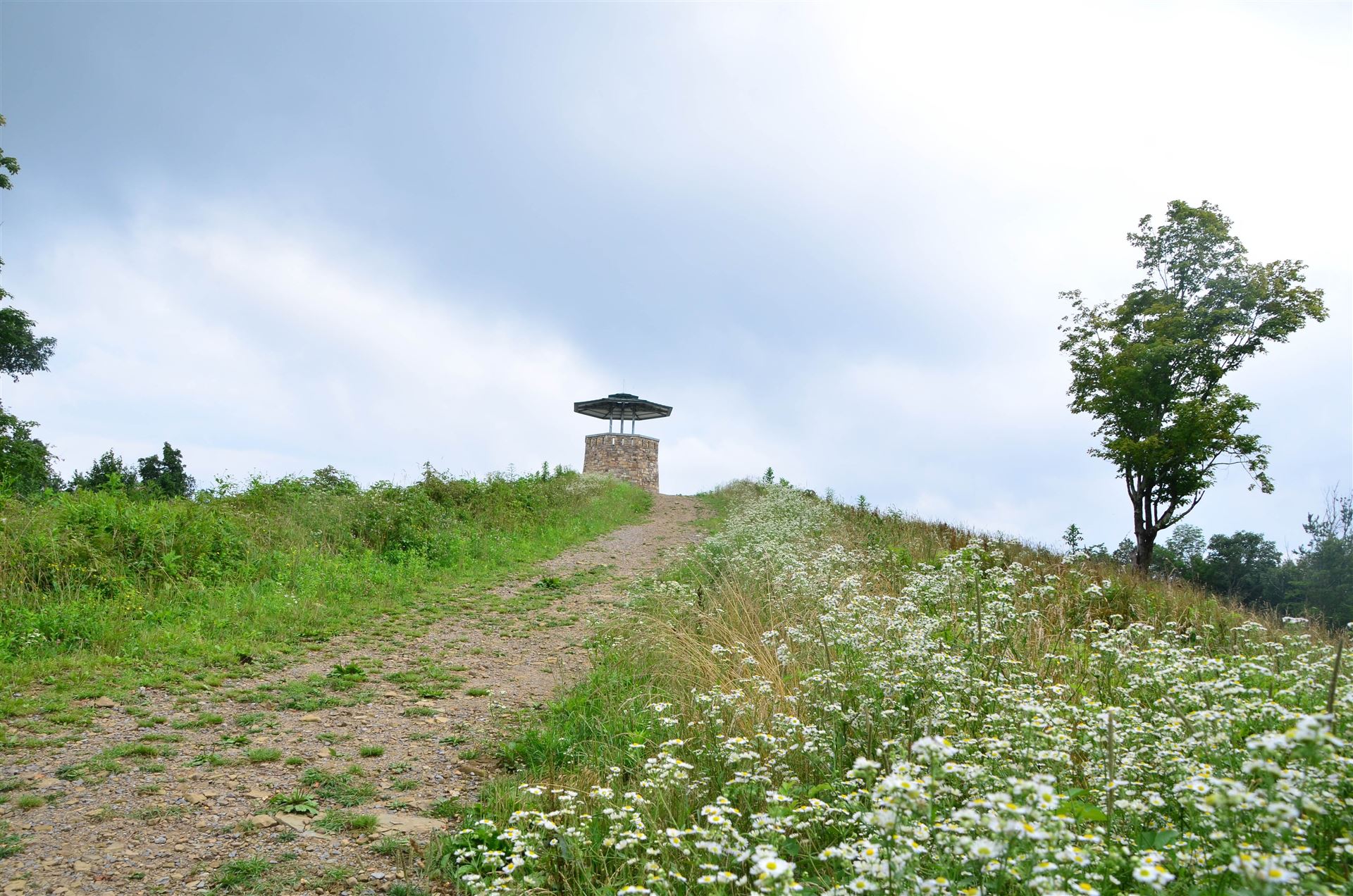 Locations Hub - High Knob Observation Tower